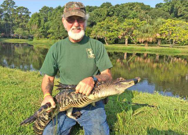 Gators are common in Coastal Georgia - Coastal Courier