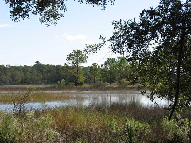 Marsh buffer removal angers advisors - Coastal Courier