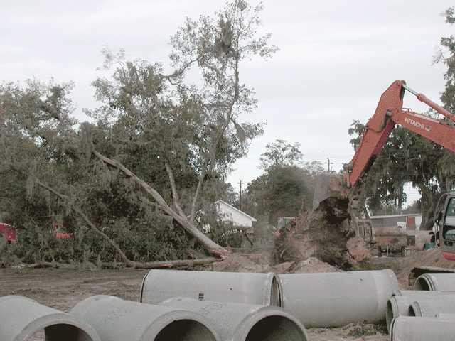 Old trees being replaced for parking lot - Coastal Courier