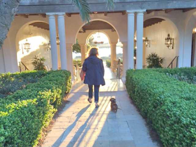 Tearful goodbye to Dixie Dew - Coastal Courier