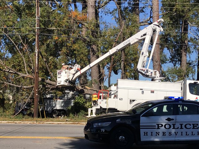 Wayward tree knocks out power to businesses, traffic lights - Coastal ...