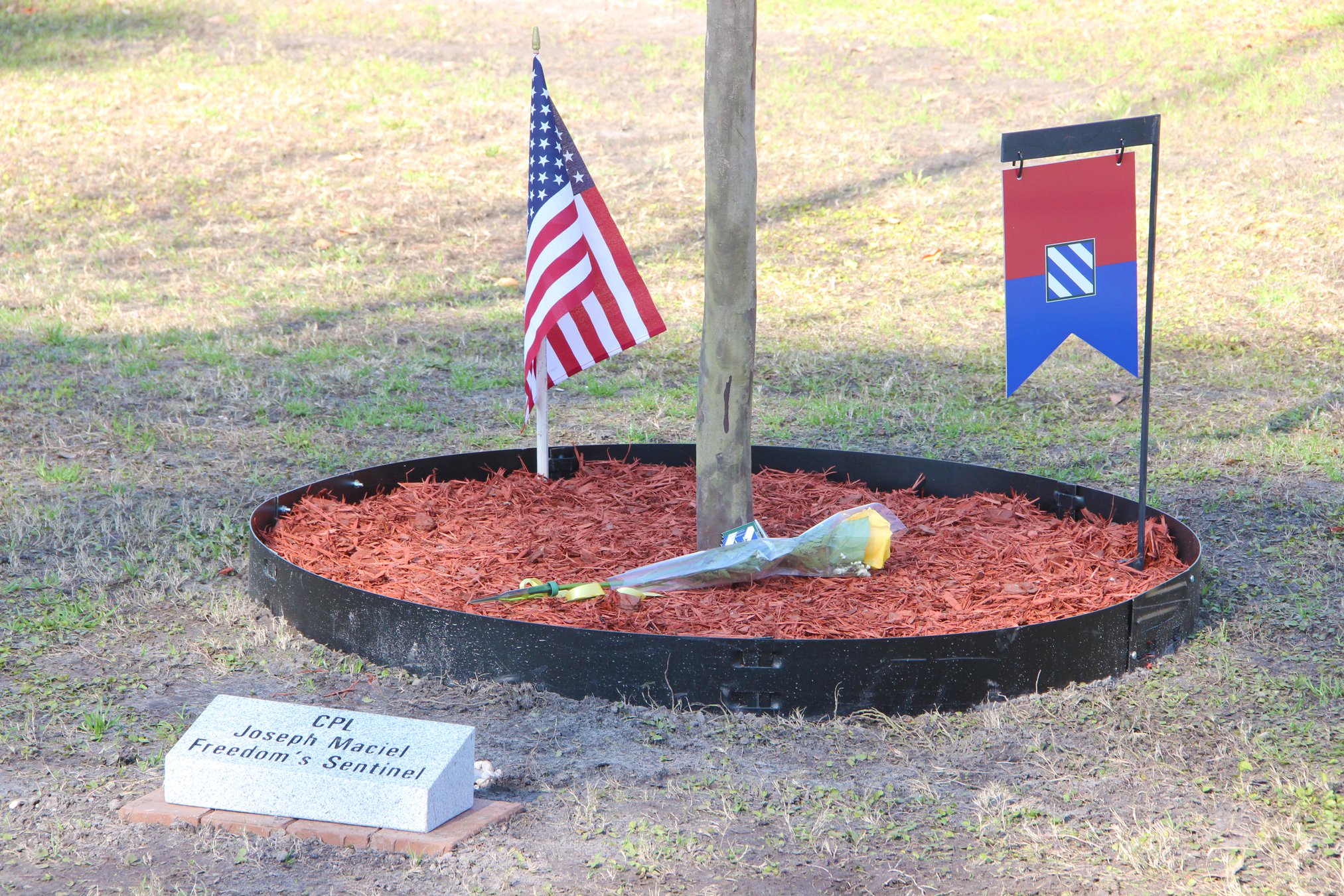 Fort Stewart adds tree to Warriors Walk - Coastal Courier