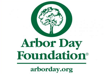 Hinesville Named Tree City USA by Arbor Day Foundation - Coastal Courier