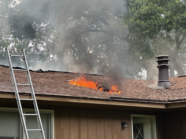 VIDEO: Tree falls on power pole, house catches fire - Coastal Courier