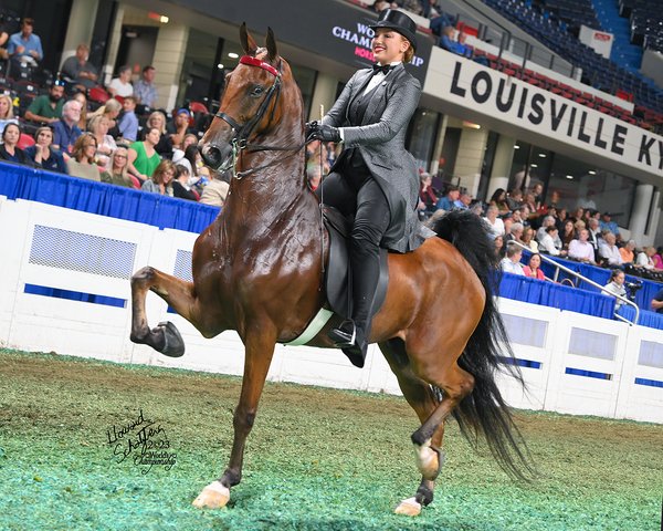 Egner secures Reserve title in first year as adult rider - Coastal Courier