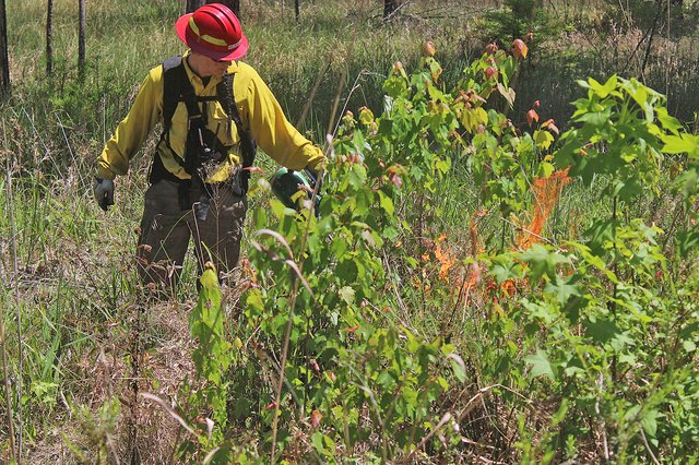 NASA takes a look at post’s prescribed burns - Coastal Courier